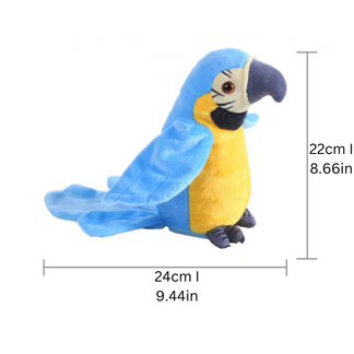 ChatterBird – Kiddie Corner